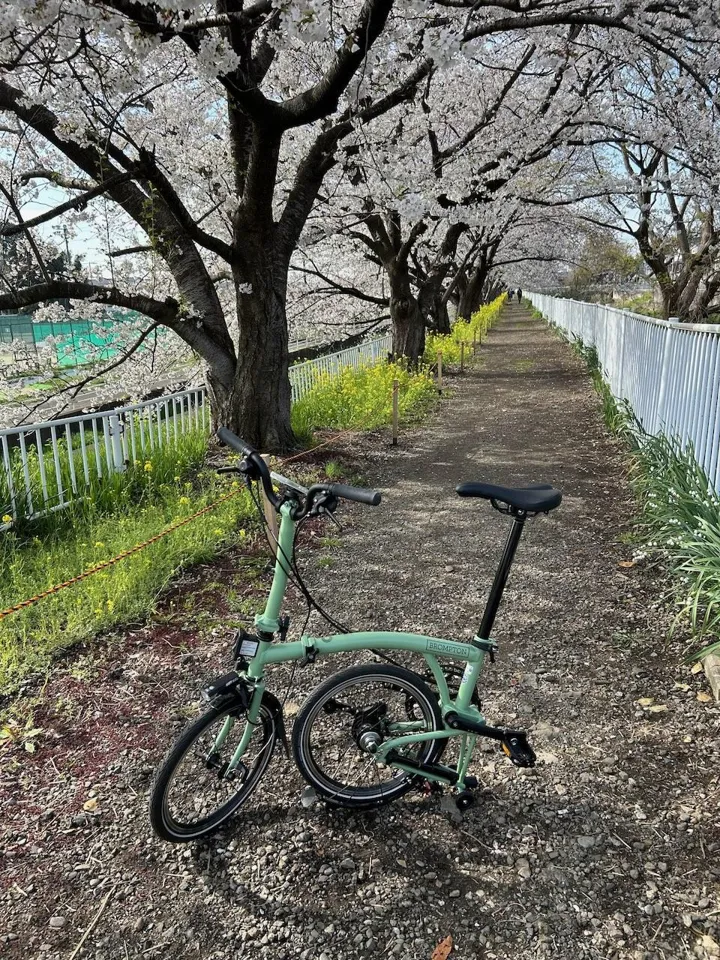 The Week #249 - James Van Dyne